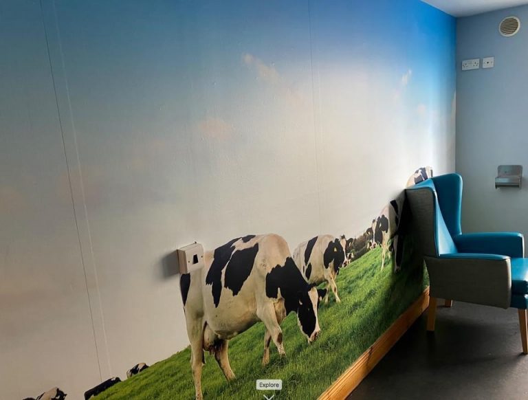 Care Home Wall Murals | Shop Fronts for Care Homes